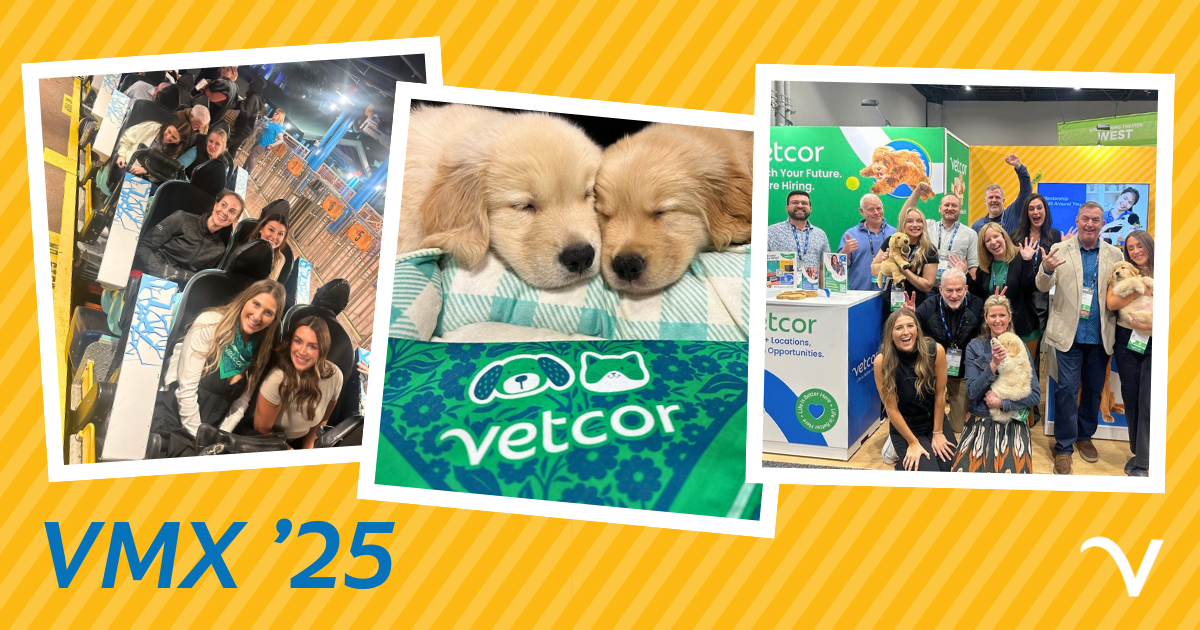 veterinary mentorship program | emerging leaders in veterinary medicine